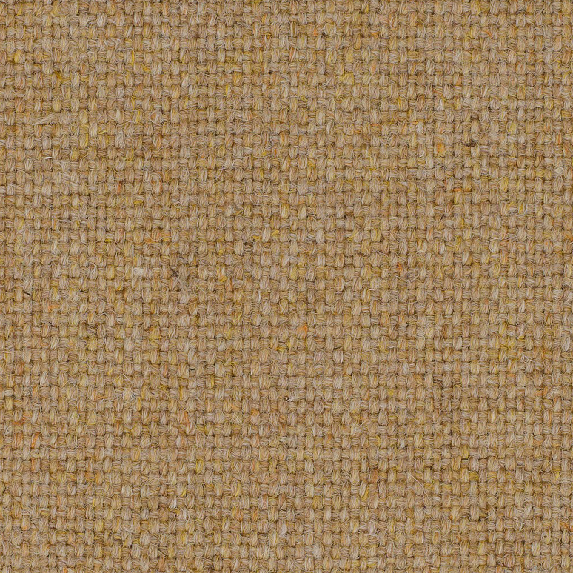 Main Line Flax
