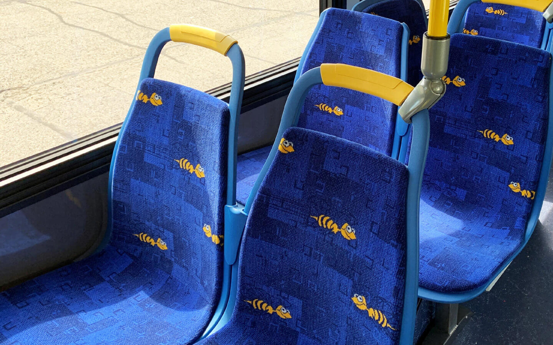 200 Years of Transport Textiles: Westchester Bee-Line, 2021